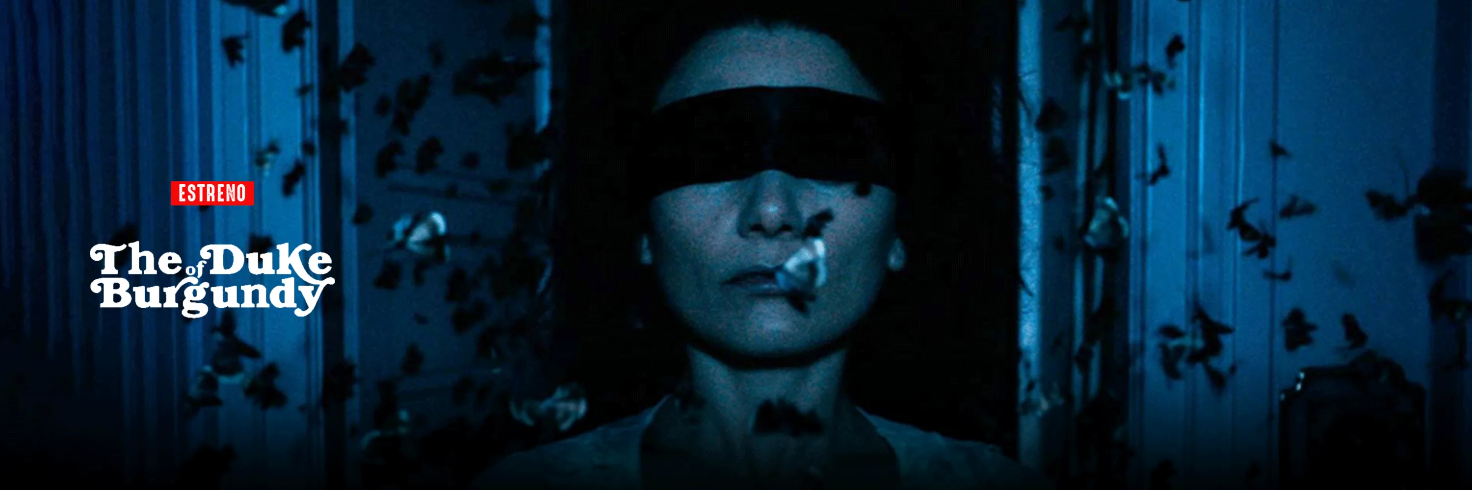 Suscríbete Ingresar